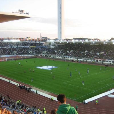 China Synthetic Artificial Grass Soccer Field / Green Fake Artificial Grass Carpet for sale