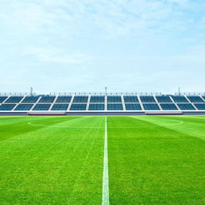 China Fire Retardant Artificial Grass Soccer Field / Plastic Fake Grass Football Field for sale