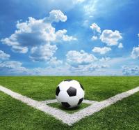 China Plastic Flat Football Synthetic Grass Chemical Free Environment Protection for sale