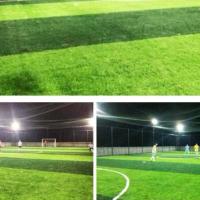 China Plastic Flat Football Synthetic Grass Chemical Free Environment Protection for sale