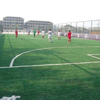 China Sports Non Infill Artificial Grass Soccer Field Envrionmental Protection for sale