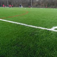 China Sports Non Infill Artificial Grass Soccer Field Envrionmental Protection for sale