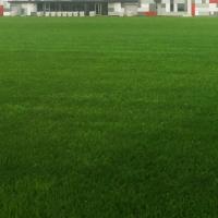 China Exercise Yard Sports Artificial Grass Strong Firmness Simulated White And Green Color for sale