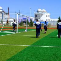 China High Dtex Football Synthetic Grass S Shape Strong With UV Protection for sale