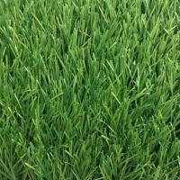 China Biocolor Anti Corrosive Artificial Grass Football Field For Playground for sale