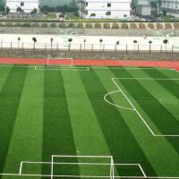 China Athletes Football Synthetic Grass Field / Futsal Artificial Grass Flooring for sale