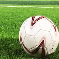 China Gym Fake Securing Artificial Soccer Grass Two Layers Material PE Monofilament for sale