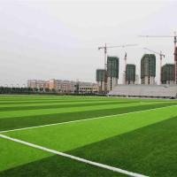 China Apple Green 50 Mm Artificial Lawn For Soccer Court Other Sports Cover for sale