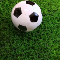 China Fields Artificial Grass Olive Green Bright Shinning With Strong UV Stable Yarns for sale