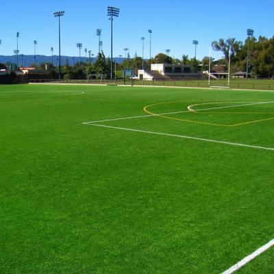 China Double Color Synthetic Artificial Grass Premier League In Soccer Stadium for sale