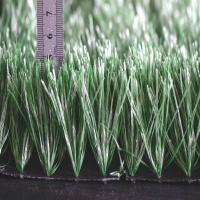 China Double Color Synthetic Artificial Grass Premier League In Soccer Stadium for sale