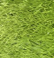 China 60mm Synthetic Turf Football Field PE Material SGS Certificate Approved for sale