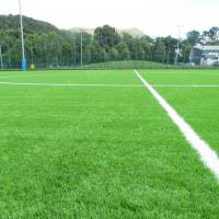 China 55 Mm 50mm Artificial Football Lawn High Standard Fire Proof PE Material for sale