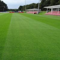 China Stadium Outdoor Football Synthetic Grass For Mini Soccer Flooring Court for sale
