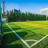 China 50mm 55mm Football Indoor Outdoor Grass with Good Water Permeability for sale