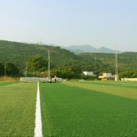 China 55mm 60mm 50mm Artificial Grass Soccer Field Sports Turt Flooring Popular Style for sale