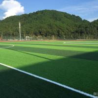 China Plastic Backyard Putting Green Real Grass Long Life Flooring High Simulate for sale