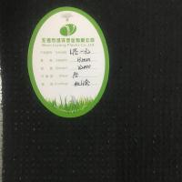 China Plastic Backyard Putting Green Real Grass Long Life Flooring High Simulate for sale