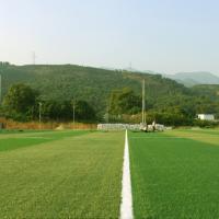 China Artificial Grass Golf Green Good Elasticity For Croquet Hockey Stadium for sale
