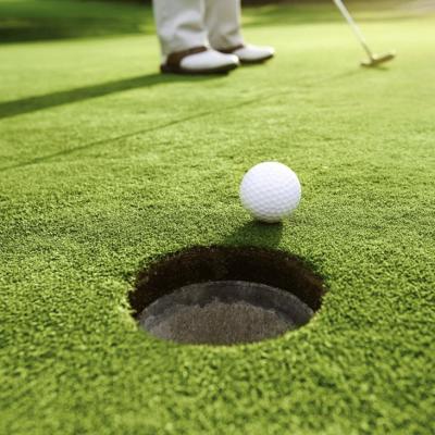 China Curled 10mm Artificial Grass For Golf Putting Green Luxury Mini Good Elasticity for sale