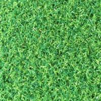 China High Density Curly Sports Artificial Grass For Golf Gateball Basketball Two Color for sale