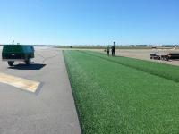 China 10mm No Infill Synthetic Training Turf With SBR Latex Back Or PU Back for sale