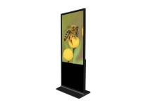 China Indoor 43 Inch Digital Signage Ads With Andorid System for sale