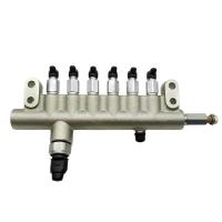 China Excavator Fuel Rail 8981529501 8-98152950-1 Common Rail 8981529505 for Isuzu Engine for sale