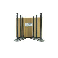 China 5I7738 5I7739 Diesel Engine Intake Exhaust Valve Set for Caterpillar 3066 E320C E320D for sale
