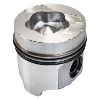 China Engine Piston Assembly 119000-22000 for Yanmar 4TN100 Diesel Engine Parts for sale