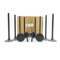 China Hino J05E J08E Engine Intake Exhaust Valve S137111632 0109-0179 for Machinery Parts for sale