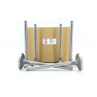 China Rikmi 6D34 Diesel Engine Cylinder Head Intake & Exhaust Valve Set for Mitsubishi 6D34 for sale