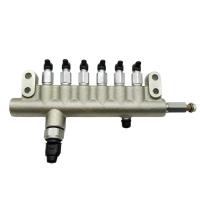 China Excavator Fuel Rail Common Rail Replacement Diesel Parts 8981529501 8981529505 8 98152950 1 2 3 4 for sale