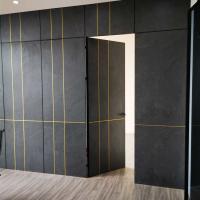 China 2050mm 2100mm Contemporary Interior Doors Internal Modern Door for sale