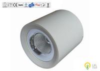 China 160Lm/W Outdoor LED Illumination IP65 Waterproof Surface Mounted Fixture Smart Control with Epistar for sale