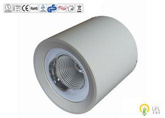 China 160Lm/W Outdoor LED Illumination IP65 Waterproof Surface Mounted Fixture Smart Control with Epistar for sale