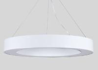 China Energy-Saving LED Outdoor Lighting Fixtures with 130lm/W Light Efficiency and 2*24pcs Epistar Chips for sale