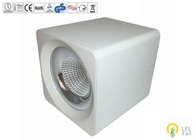 China Surface Mounted Outdoor LED Illumination Energy-Saving and Lighting 100-305V 50/60Hz for sale