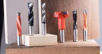 China Customizable Factory Hardware Two Flutes Hinge Drilling Wood Forstner Bit Woodworking Drill Bits for sale