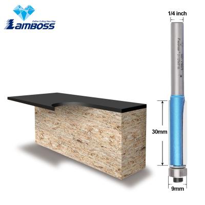 China Lamboss OEM ODM Carbide 60 HRC Milling Cutter Cobalt One Flute Carbide Milling Router Cutter for sale