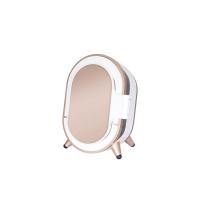 China 0.2A 20MP 3D Magic Mirror Facial Skin Scanner Analyzer with 10.1