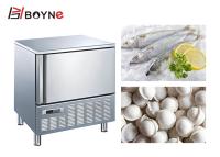 China Restaurant Commercial Refrigeration Equipment 220V Five Layer Blast Freezer for sale