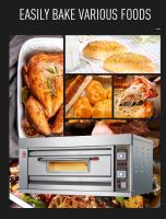 China Gas Industrial Baking Oven 2 Tray 220V 0.1kW Digital Display Stainless Steel for sale