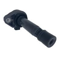 China Auto Ignition System for Honda Civic 099700-101 Denso Ignition Coil 30520-RNA-A01 for sale