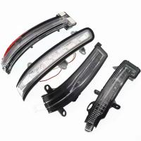 China GEELY Binyue Coolray Azkarra Emgrand Okavango Reversing Mirror Light with Turn Signal for sale
