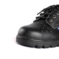 China Steel Toe Protection SJL137 Low Ankle Protective Footwear for High Risk Environments for sale