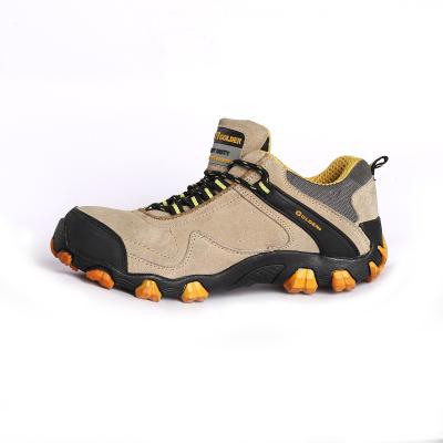 China ASTM Compliant Low Cut Safety Shoes With Nylon Tongue Lace-up Closure And ASTM Certified for sale