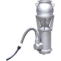 China 8 Inch Water Pump Portable Stainless Steel Submersible Water Pump for sale