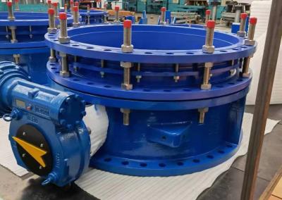China Dn 300 Flange Type Metallic Pipe Dismantling Expansion Joint for sale