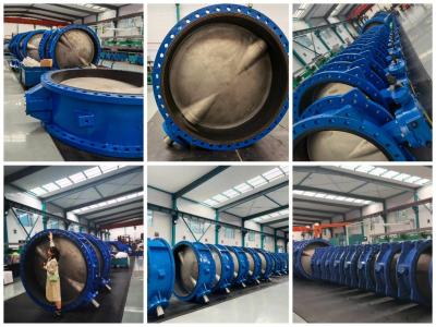 China BS EN10092-2 DI ductile iron cf8m ss316 chinese factory wholesaler butterfly valve manufacturer for sale